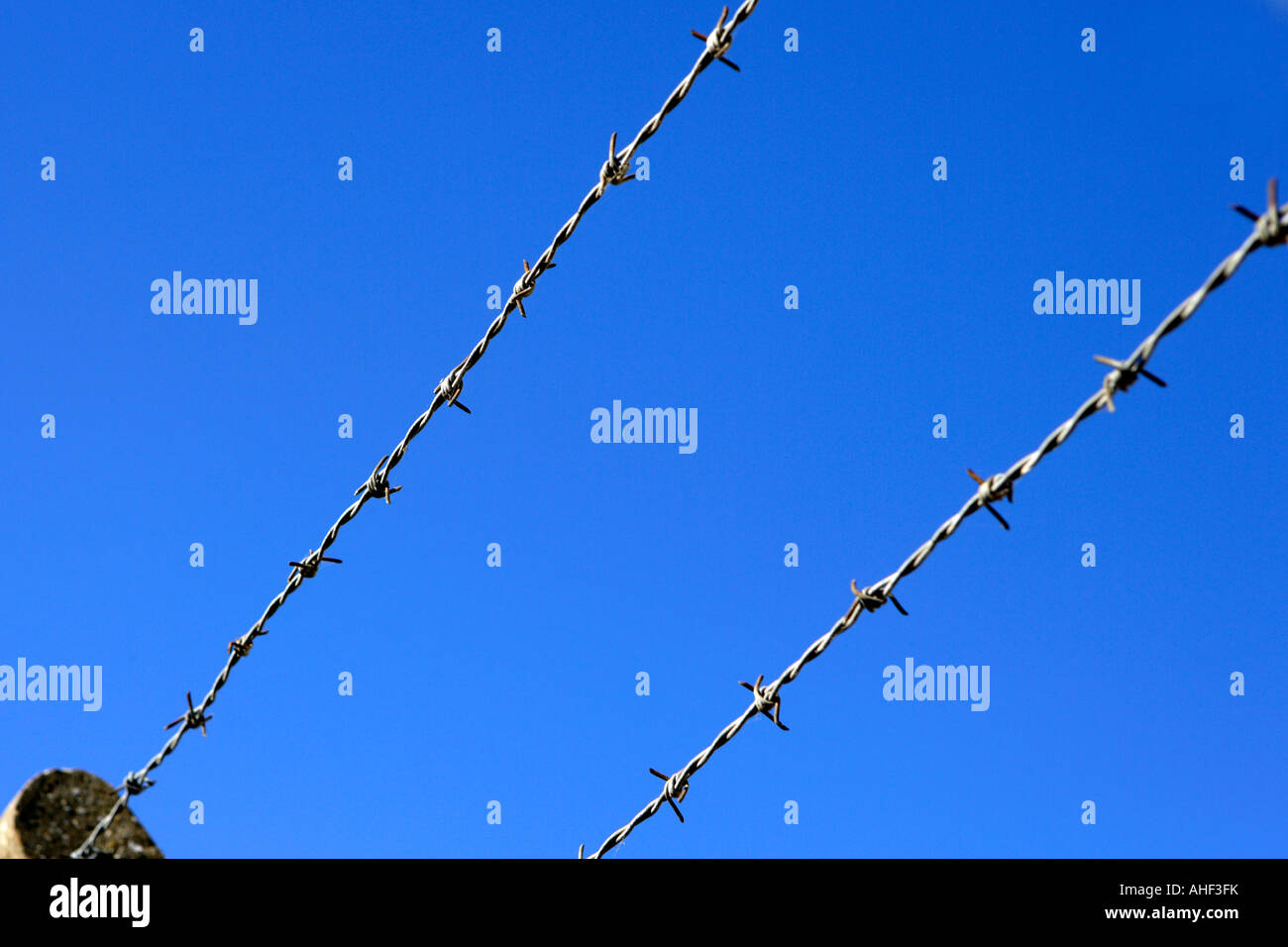 Barbed wire fence Stock Photo - Alamy