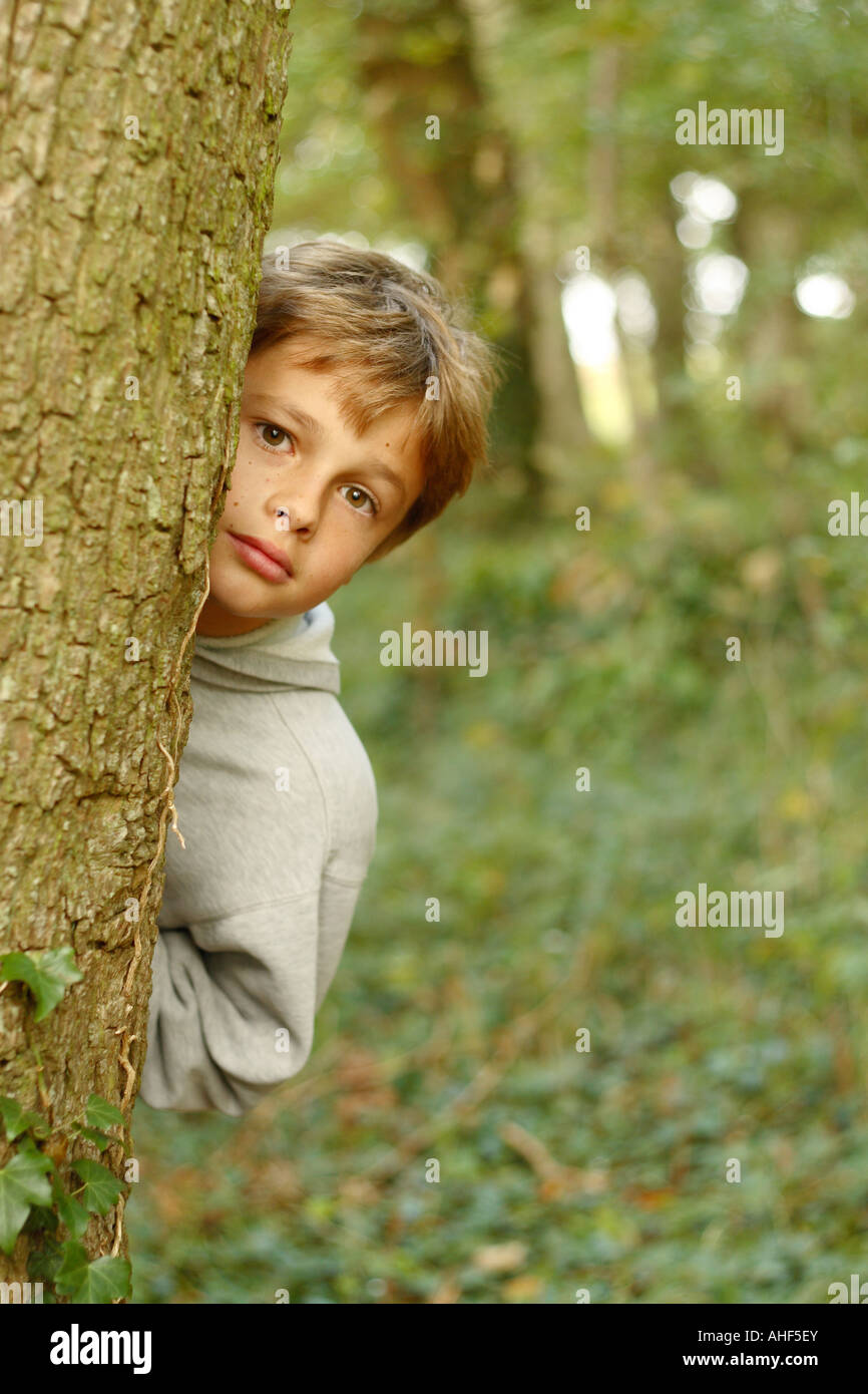 Young boy behind tree trunk in wood Stock Photo - Alamy
