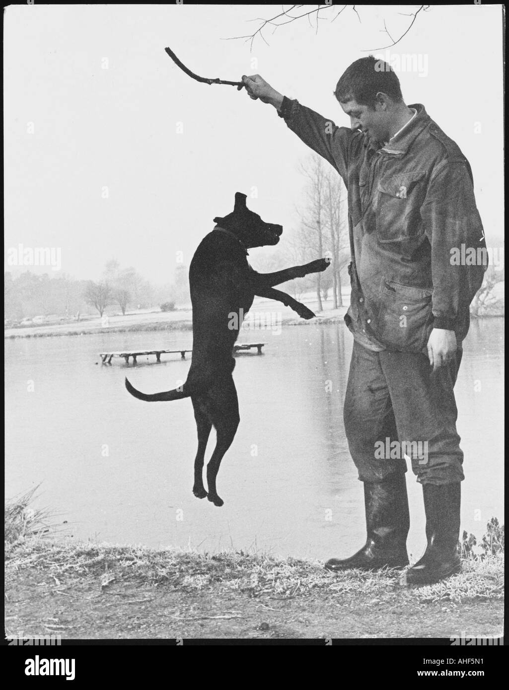 Wellies dog hi-res stock photography and images - Alamy