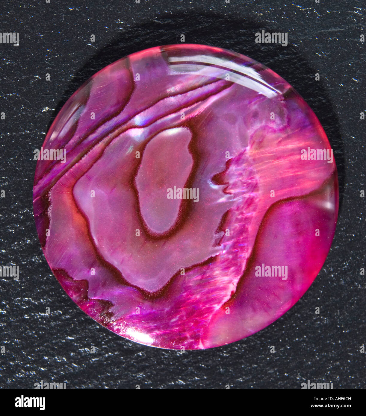 Paua shell hi-res stock photography and images - Alamy