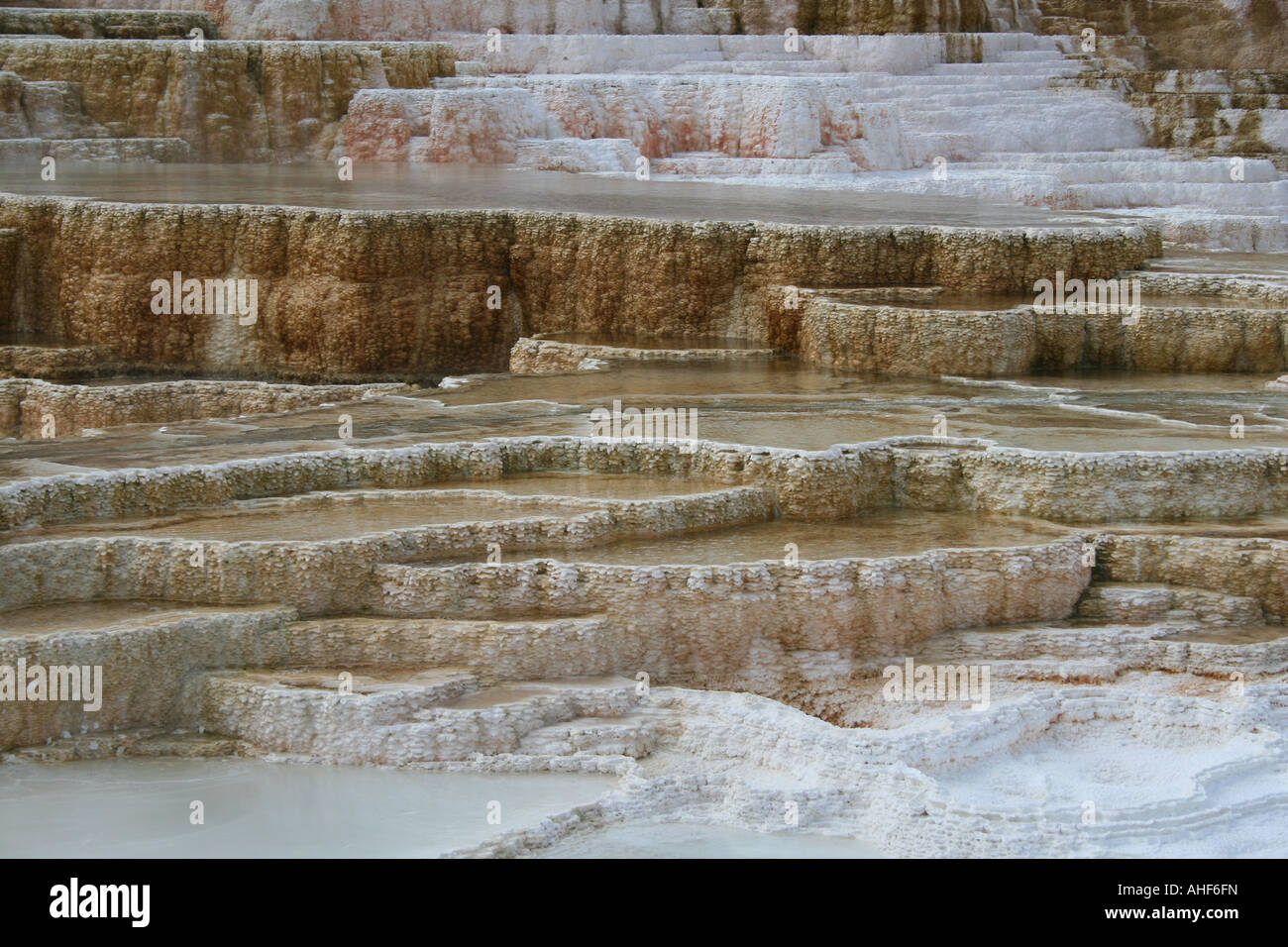 Mammoth Hot Spring Terraces Yellowstone National Park USA Stock Photo ...