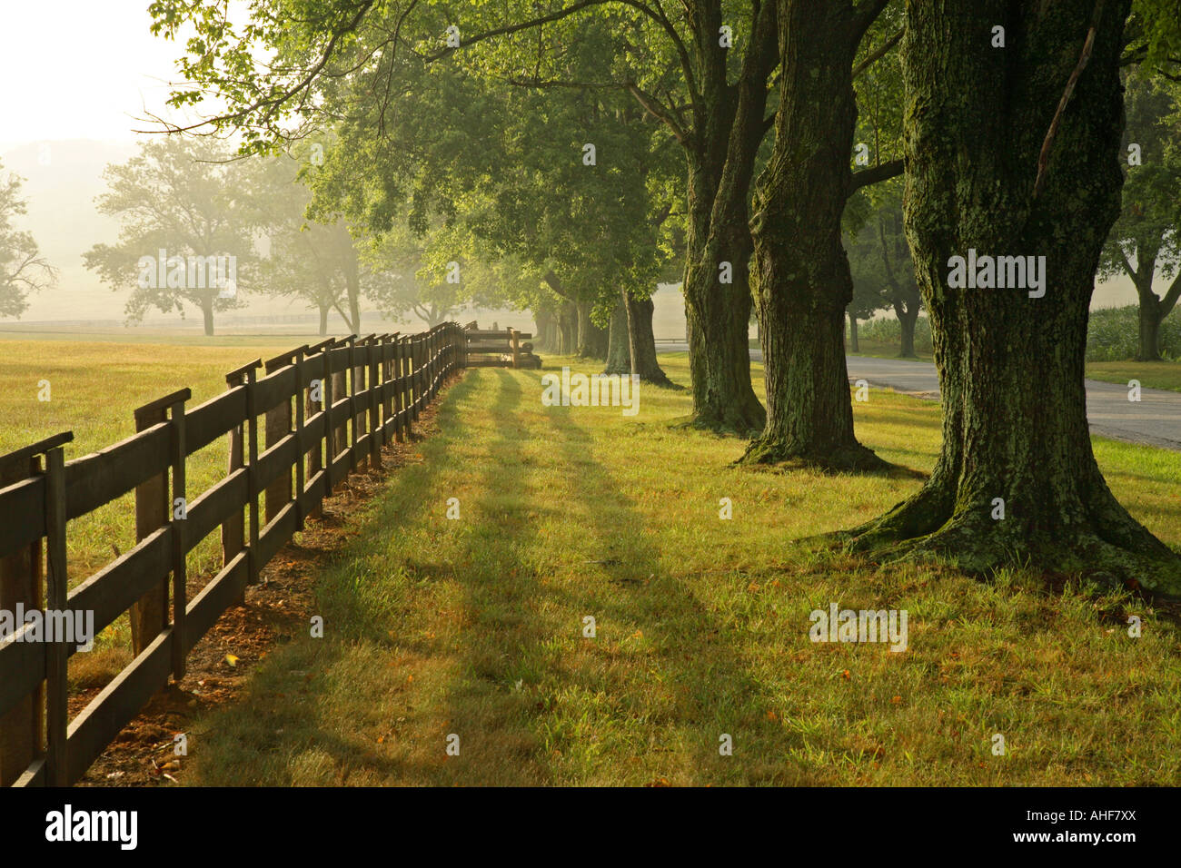 Fog fences hi-res stock photography and images - Alamy