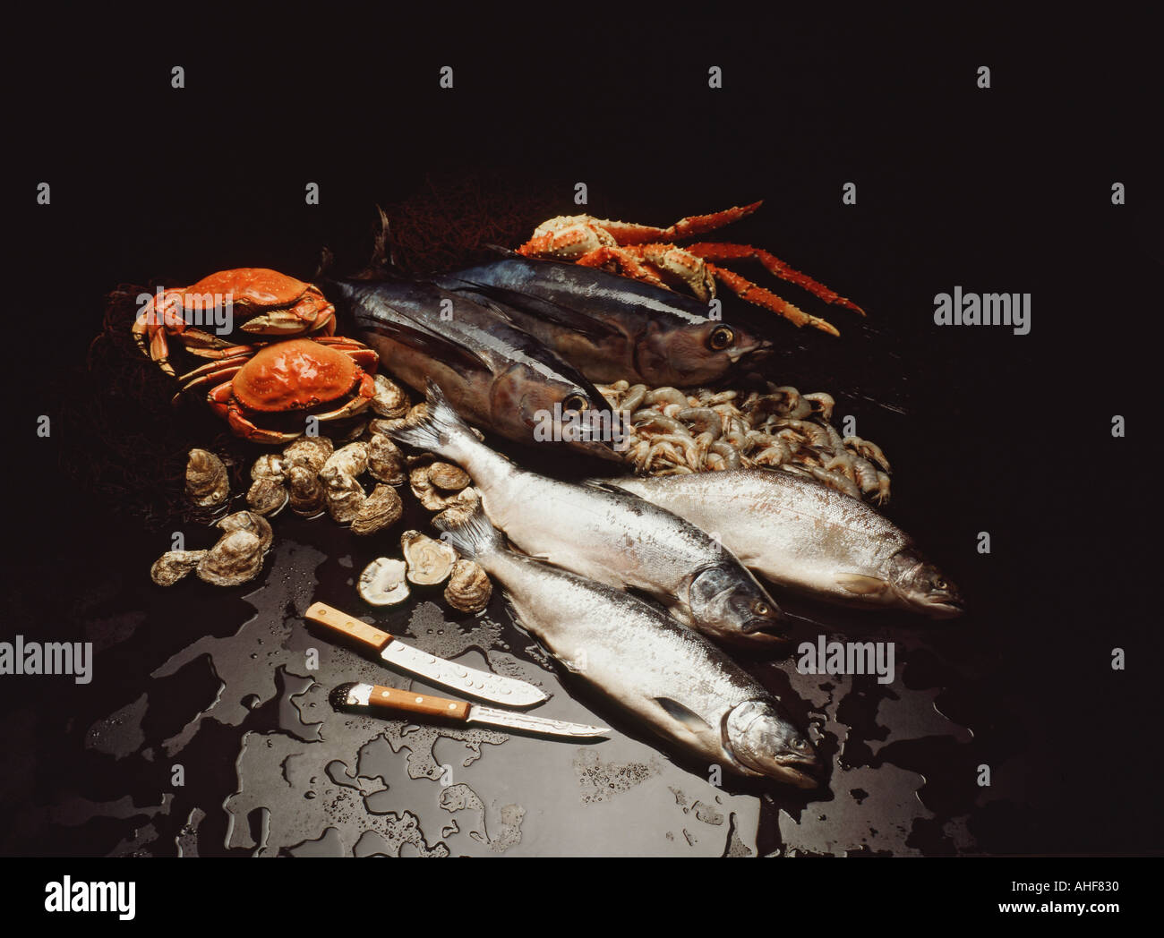studio display of fish and shellfish Stock Photo - Alamy