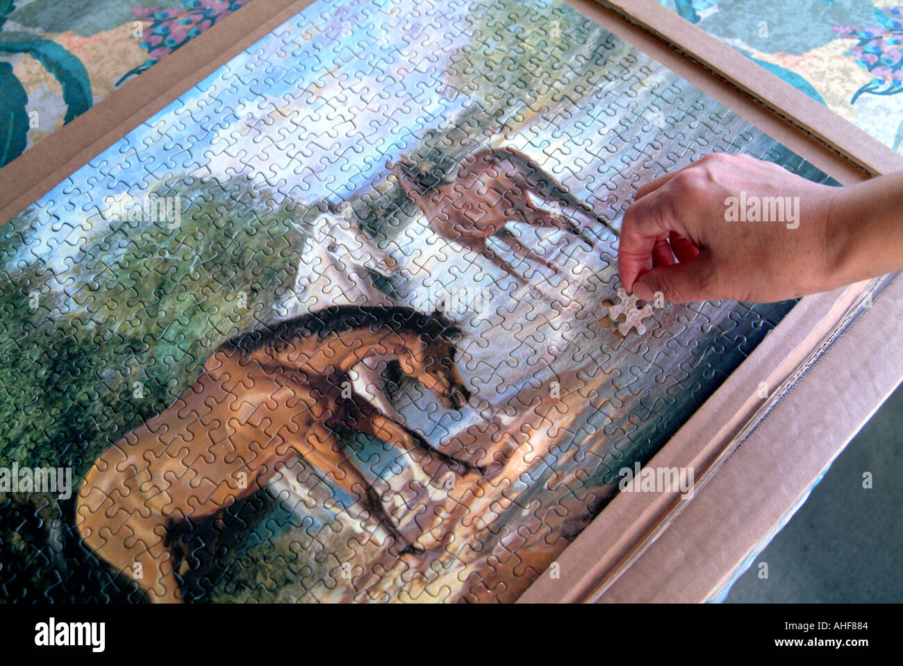 Putting the last piece into a jigsaw puzzle Stock Photo - Alamy