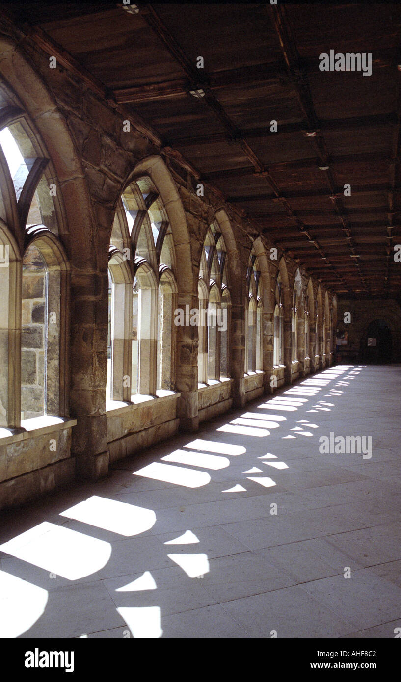 Durham Cathedral cloisters, England Stock Photo - Alamy