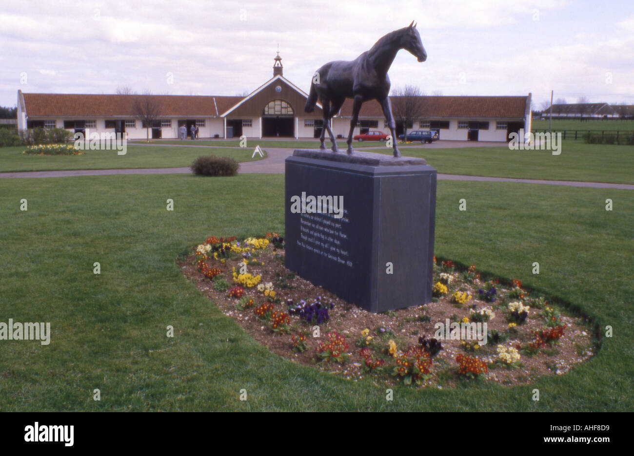 Statue of Mill Reef at the National Stud Newmarket Suffolk Stock Photo ...