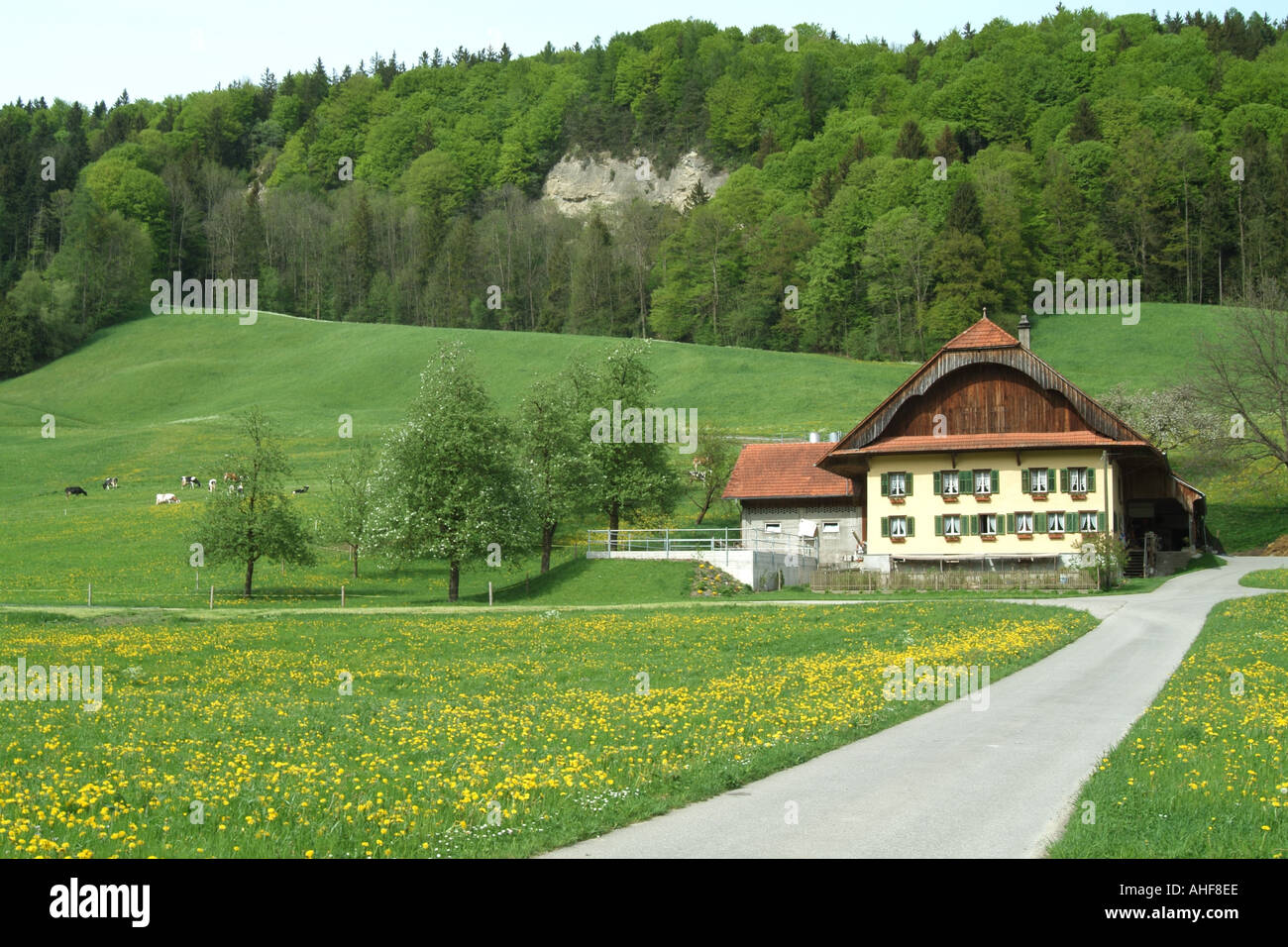 House in Switzerland Stock Photo - Alamy