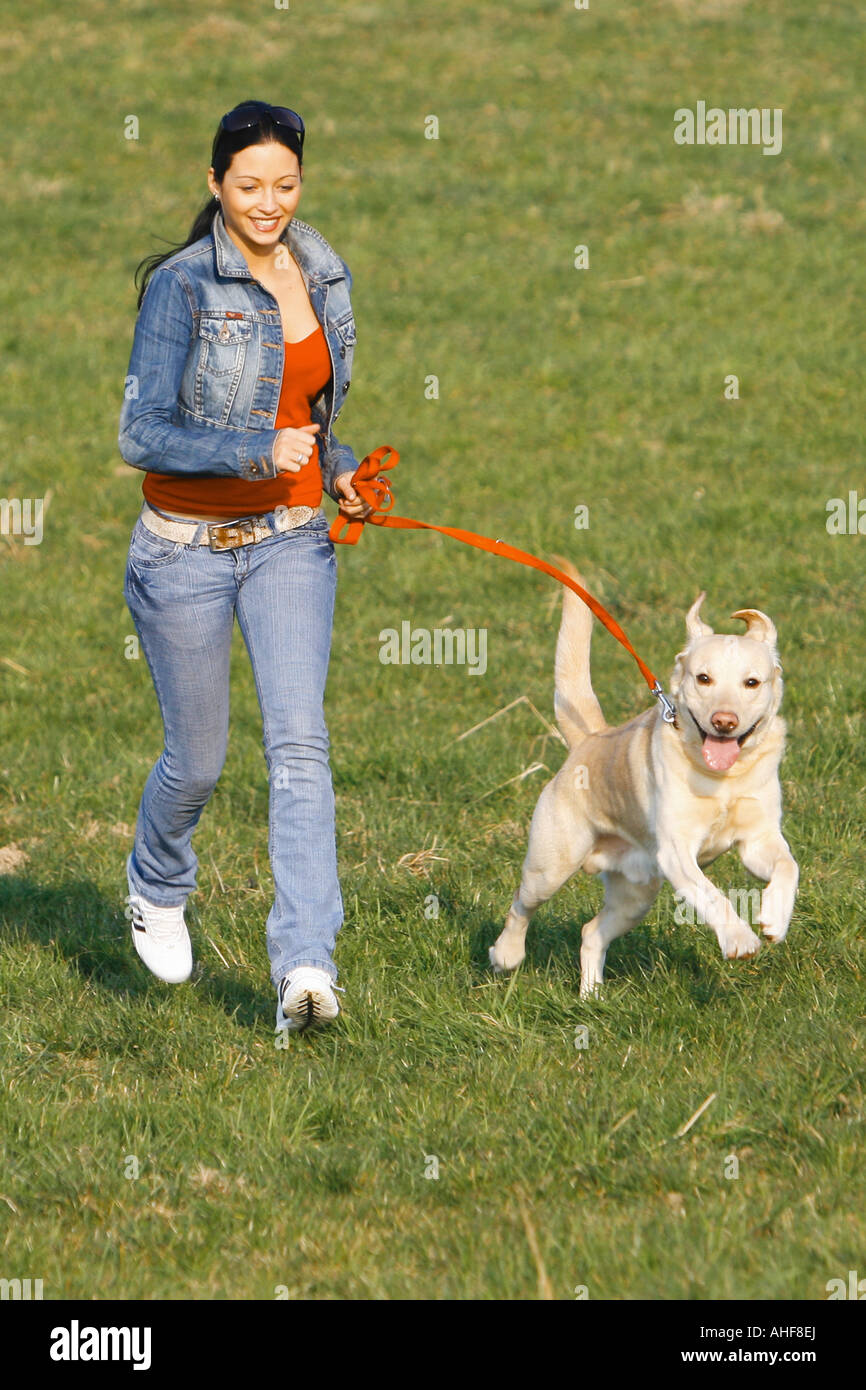 Female labrador retriever walks hi-res stock photography and images - Alamy