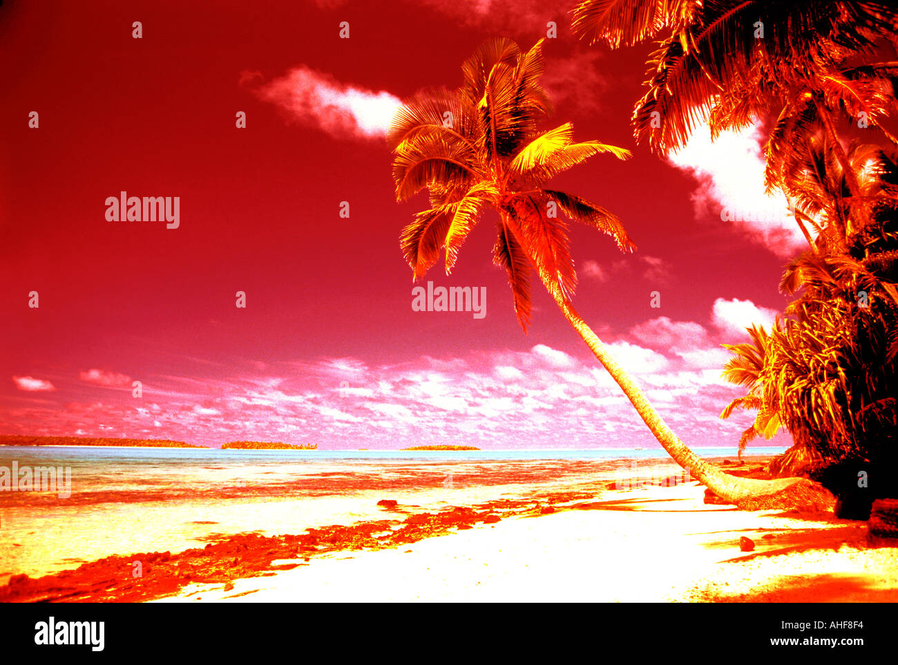 Tropical island beach scene Stock Photo - Alamy