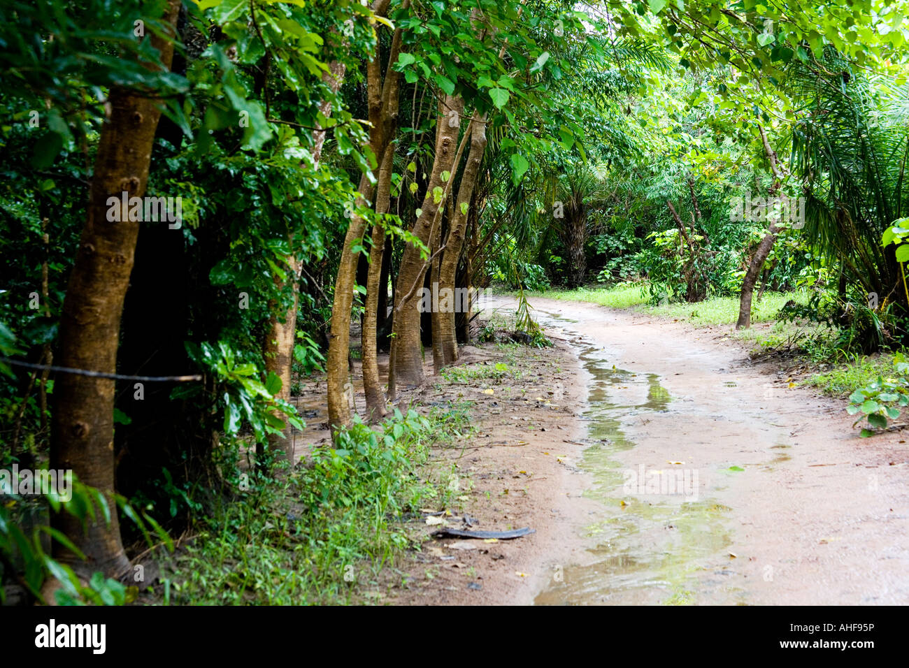 Wet muddy area hi-res stock photography and images - Alamy