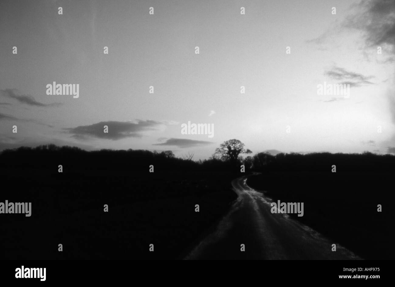 B road Hales Norfolk car headlights in distance Stock Photo - Alamy