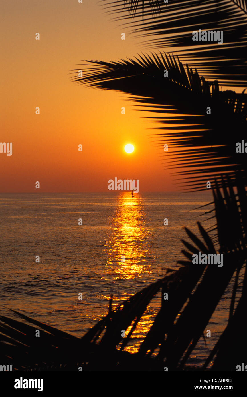 Pacific Ocean Sunset And Palm Trees Kailua Kona Hawaii Stock Photo - Alamy