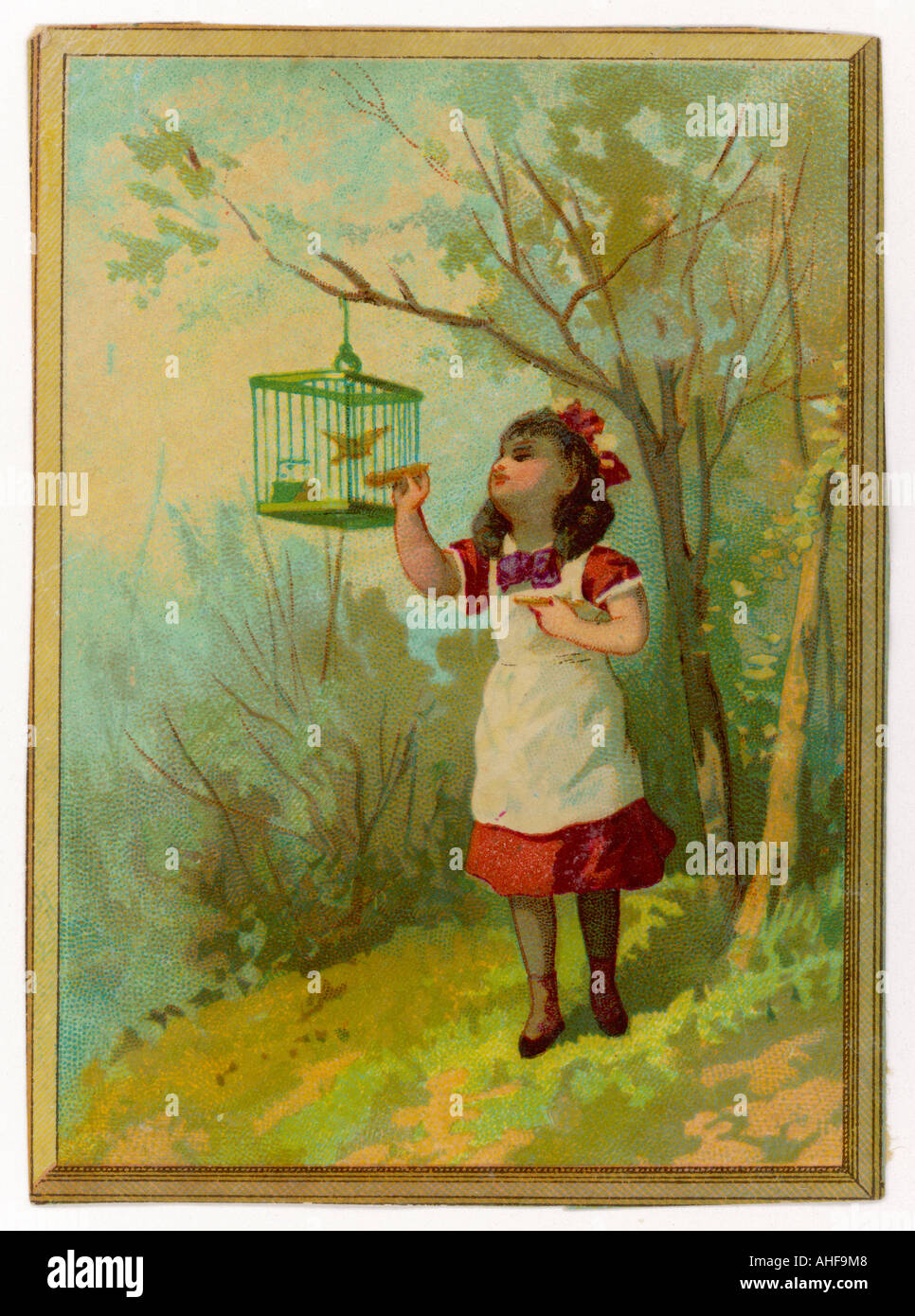 Girl feeds birds bread hi-res stock photography and images - Alamy