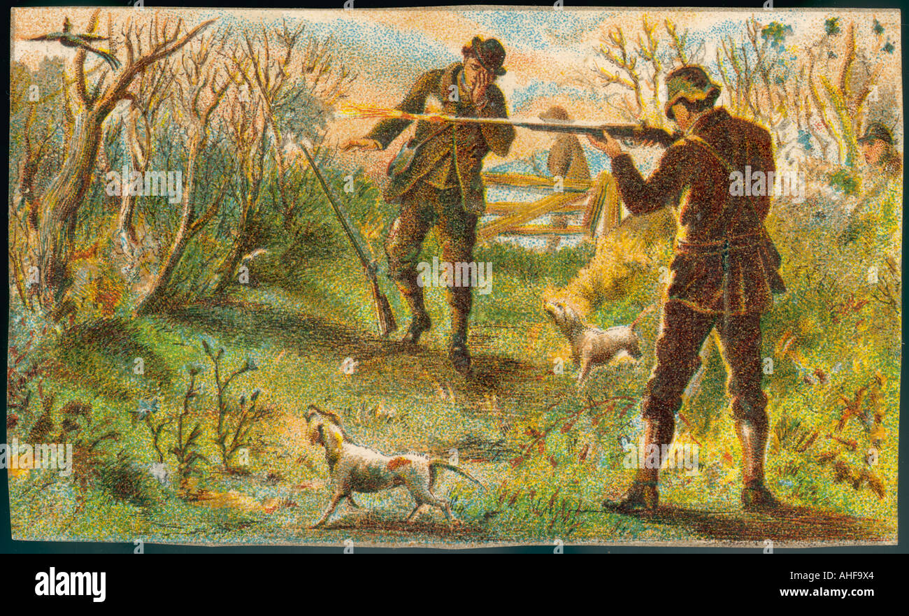 Not bird hi-res stock photography and images - Alamy