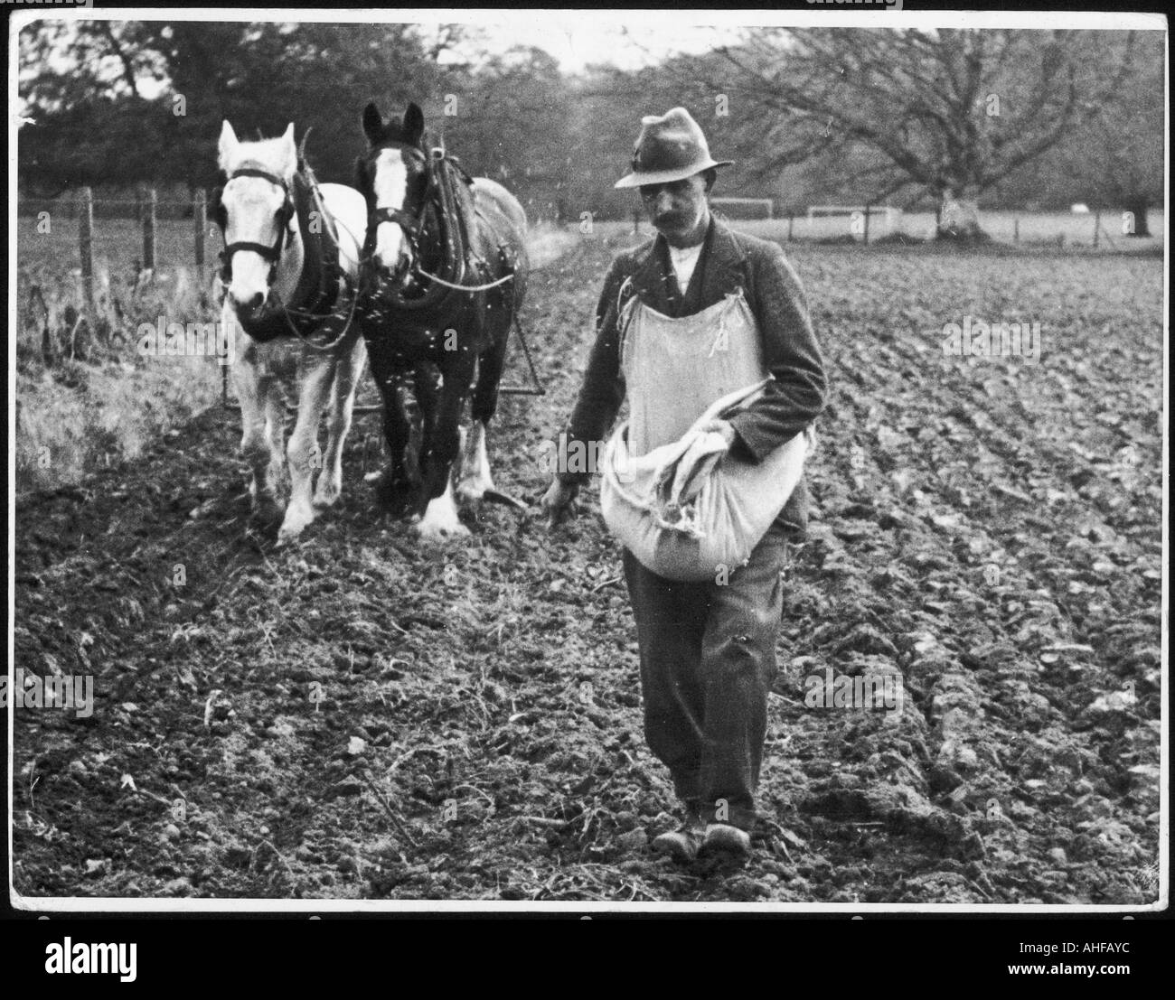 Hand plough hi-res stock photography and images - Alamy