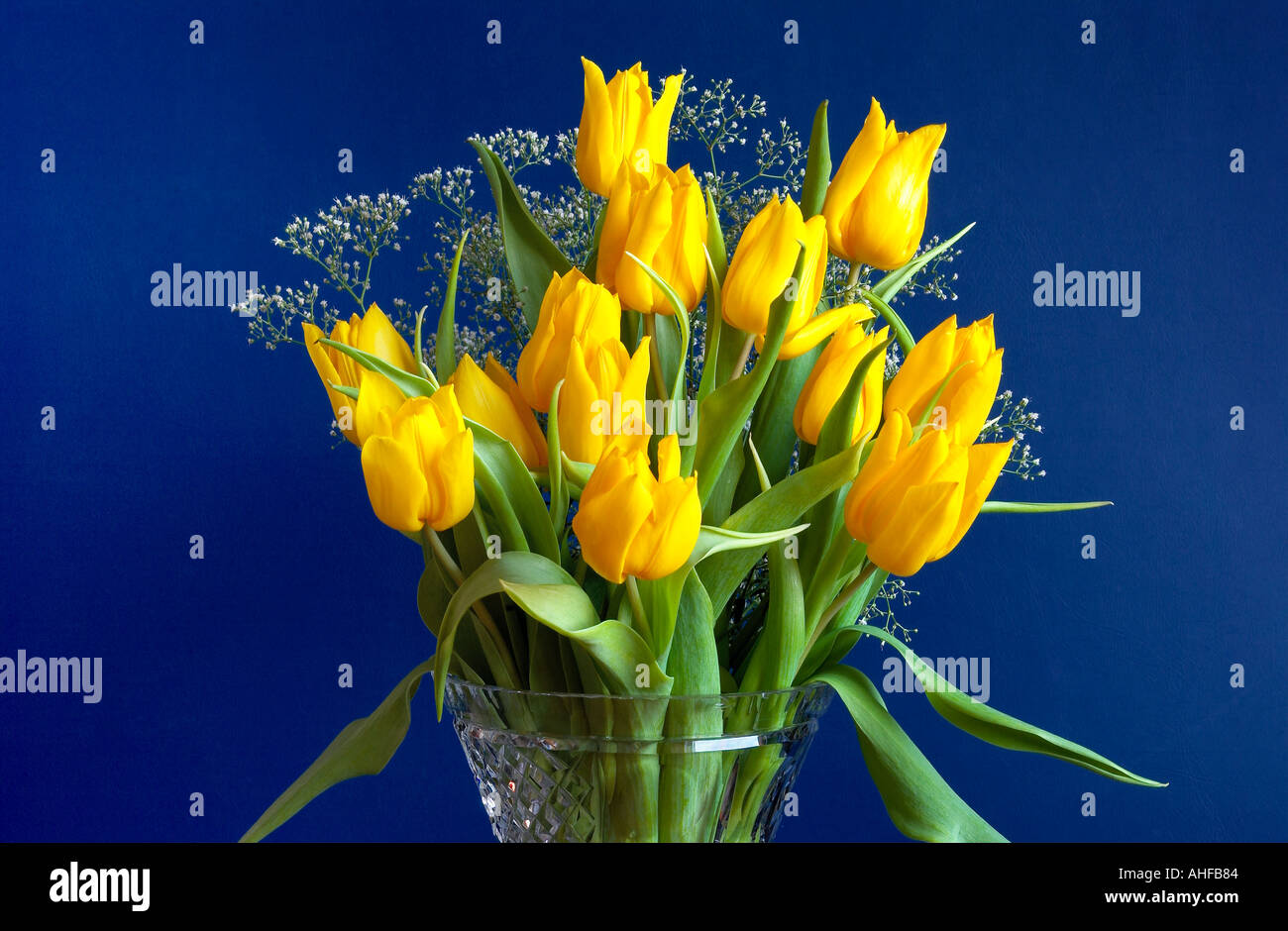 Cut Flower Arrangement Tulips Stock Photo - Alamy