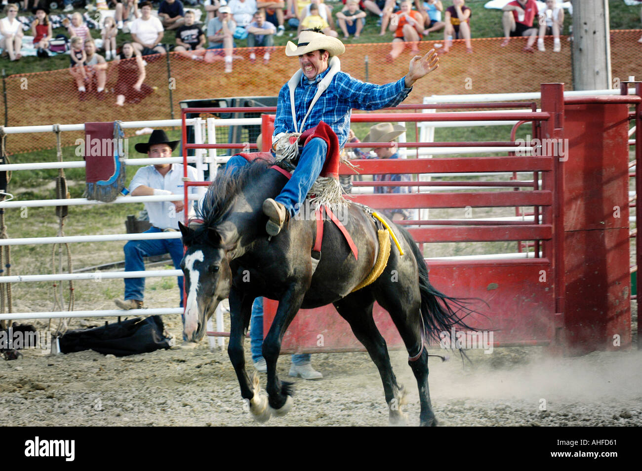 Male male competition hi-res stock photography and images - Alamy