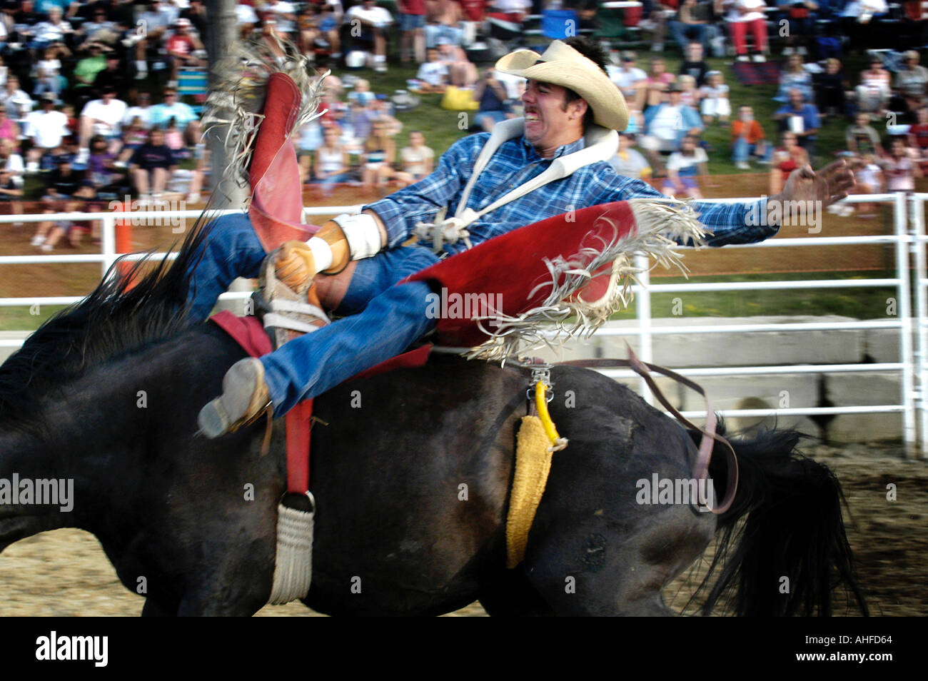 Male Participates in Rodeo Competition Stock Photo - Alamy