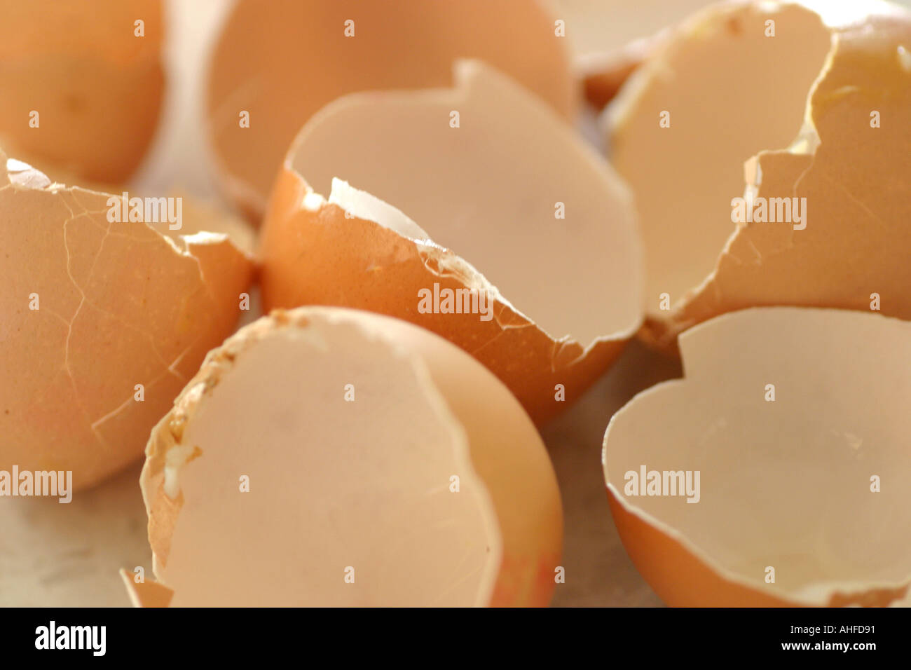 Treading on egg shells hi-res stock photography and images - Alamy
