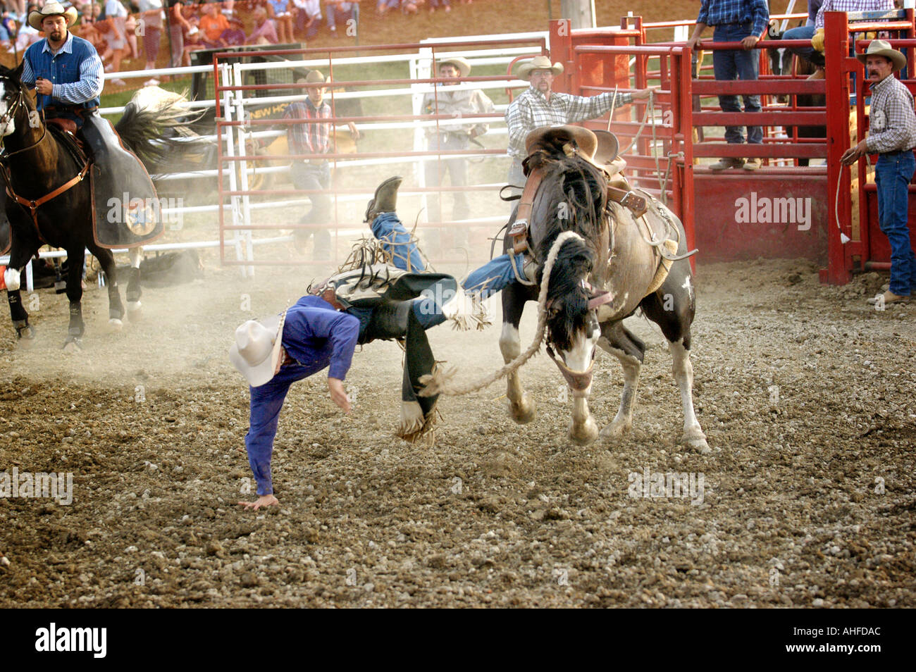 Male Participates in Rodeo Competition Stock Photo - Alamy