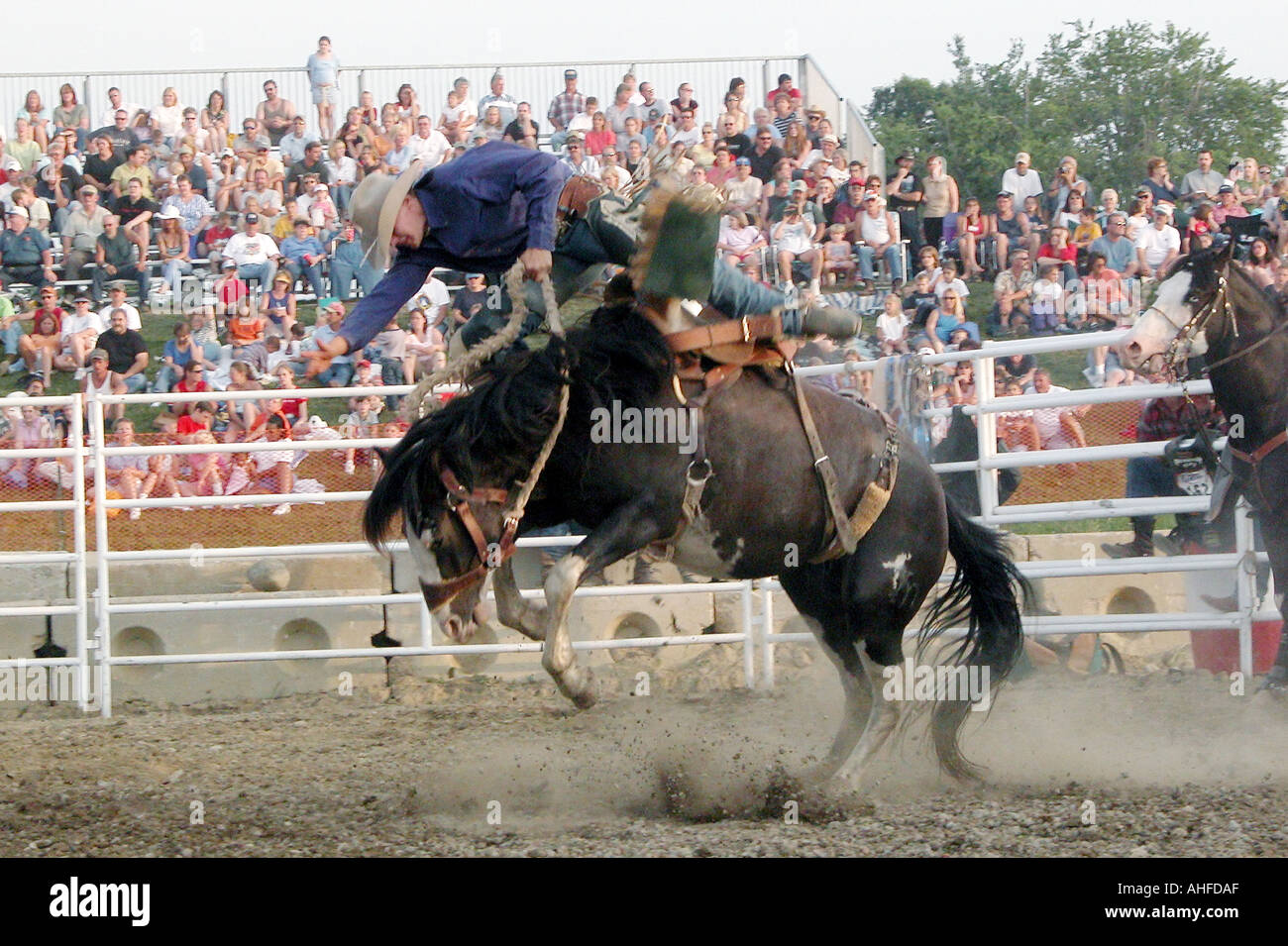 Male Participates in Rodeo Competition Stock Photo - Alamy