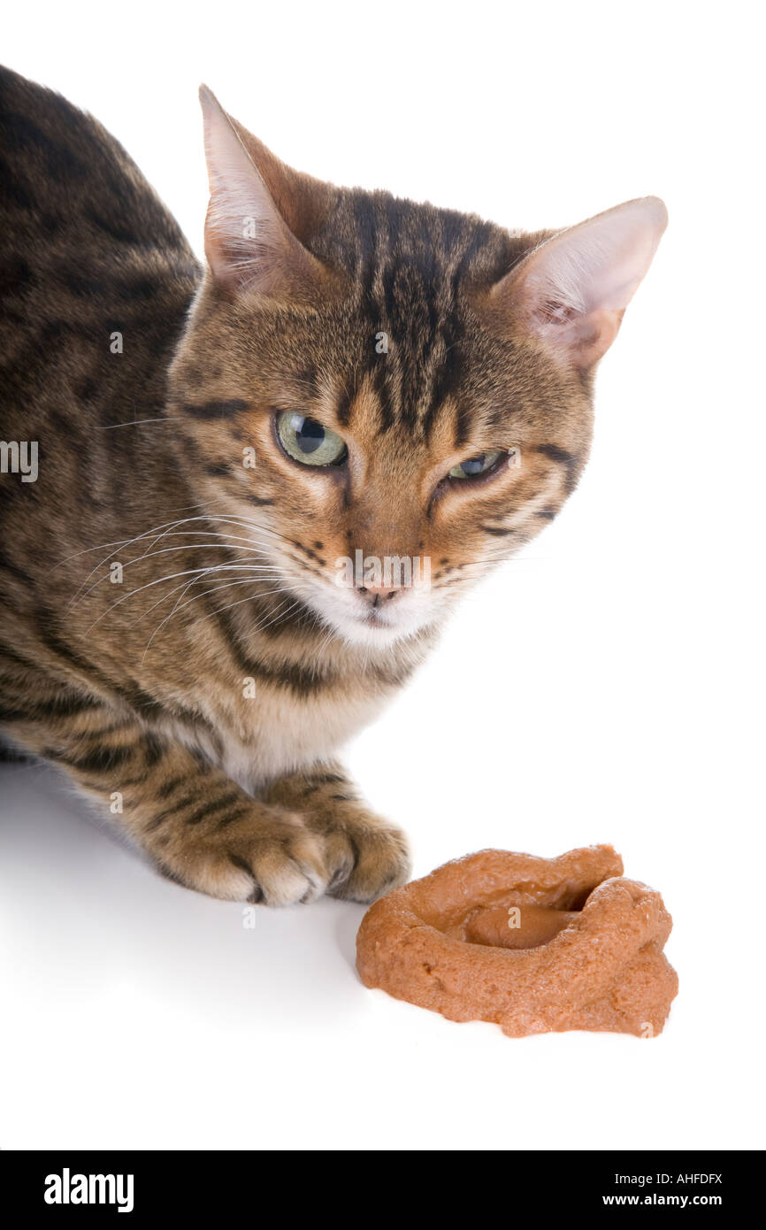 Pile of poo hi-res stock photography and images - Alamy