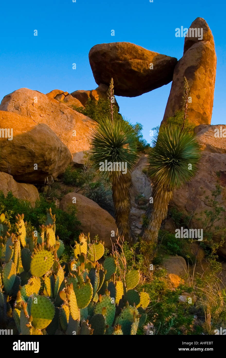 Balanced portfolio hi-res stock photography and images - Alamy