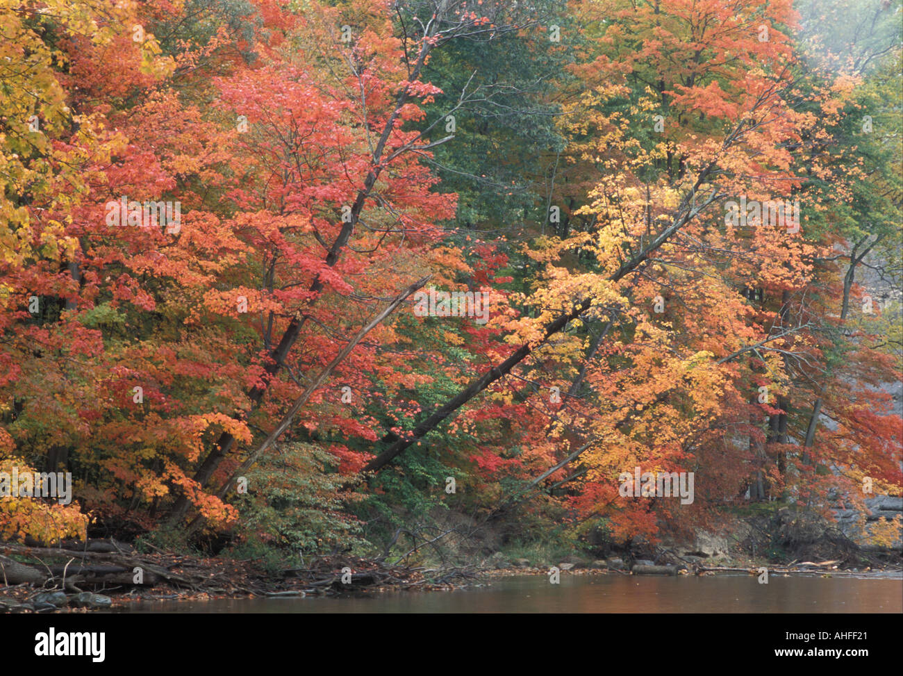 Cleveland ohio scenic fall hi-res stock photography and images - Alamy