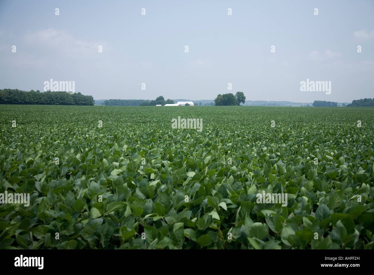 Bucks county farm hi-res stock photography and images - Alamy