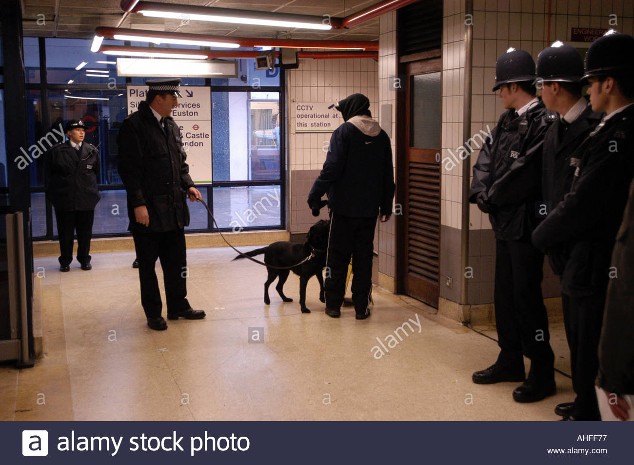 Metropolitan Police Dog Stock Photos & Metropolitan Police Dog Stock ...