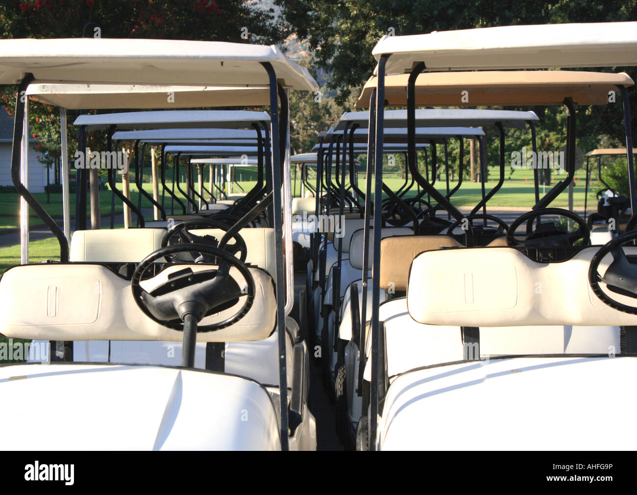 Two rows of golf carts parked and ready for drivers Stock Photo - Alamy