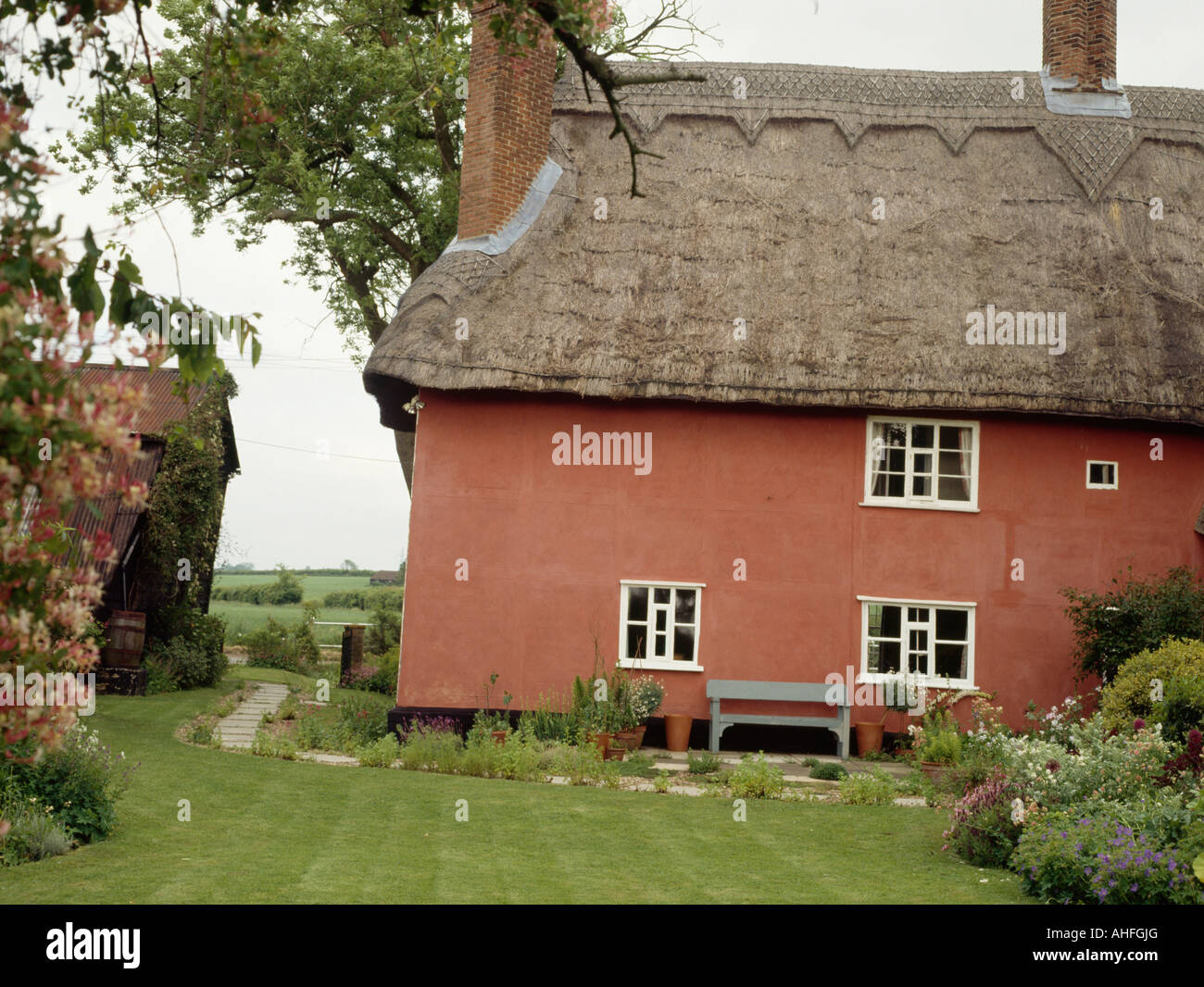 Terracotta 16th century thatched cottage in Suffolk Stock Photo - Alamy