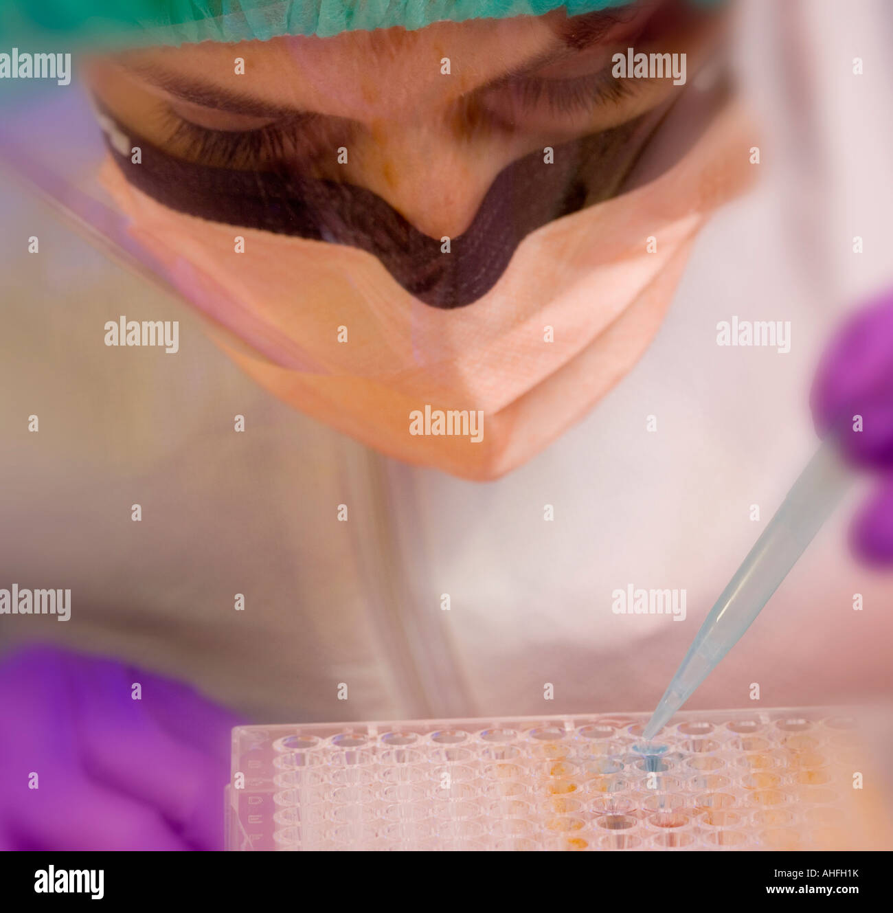 Close-up of female lab tech using pipette Stock Photo - Alamy