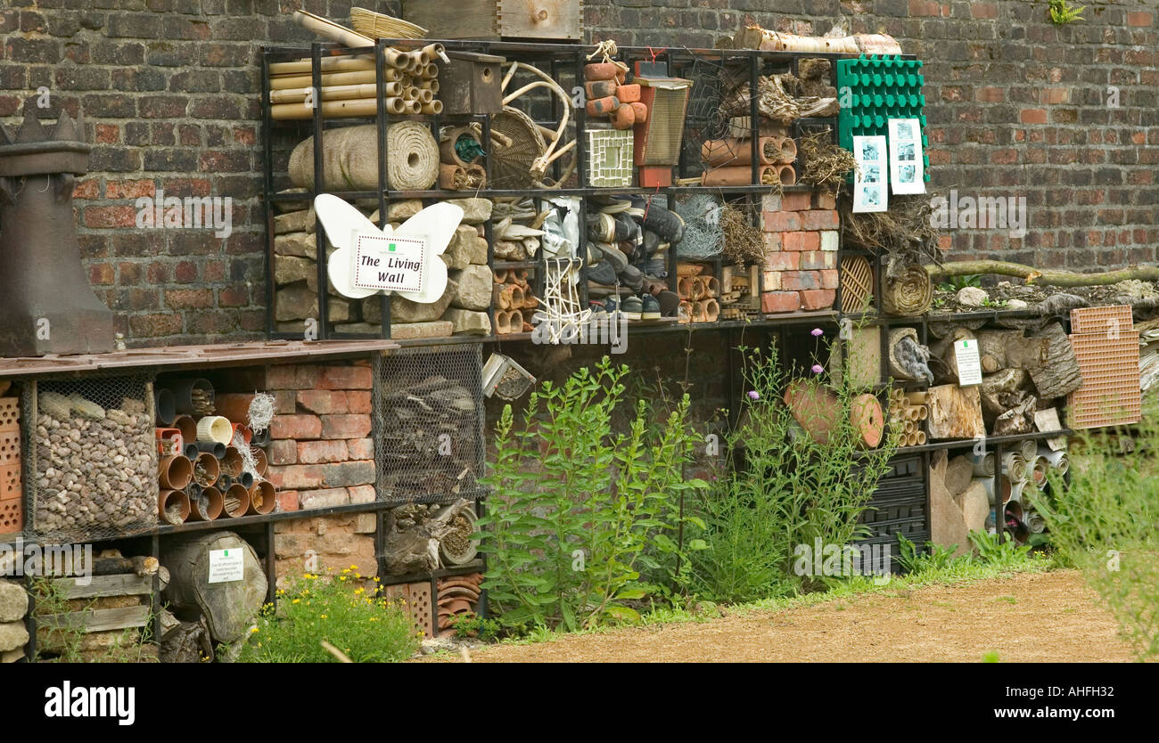 Insect wall hi-res stock photography and images - Alamy
