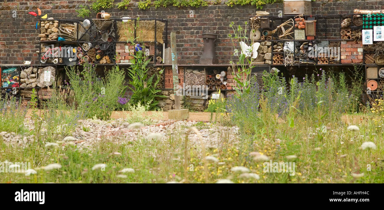 Insect wall hi-res stock photography and images - Alamy