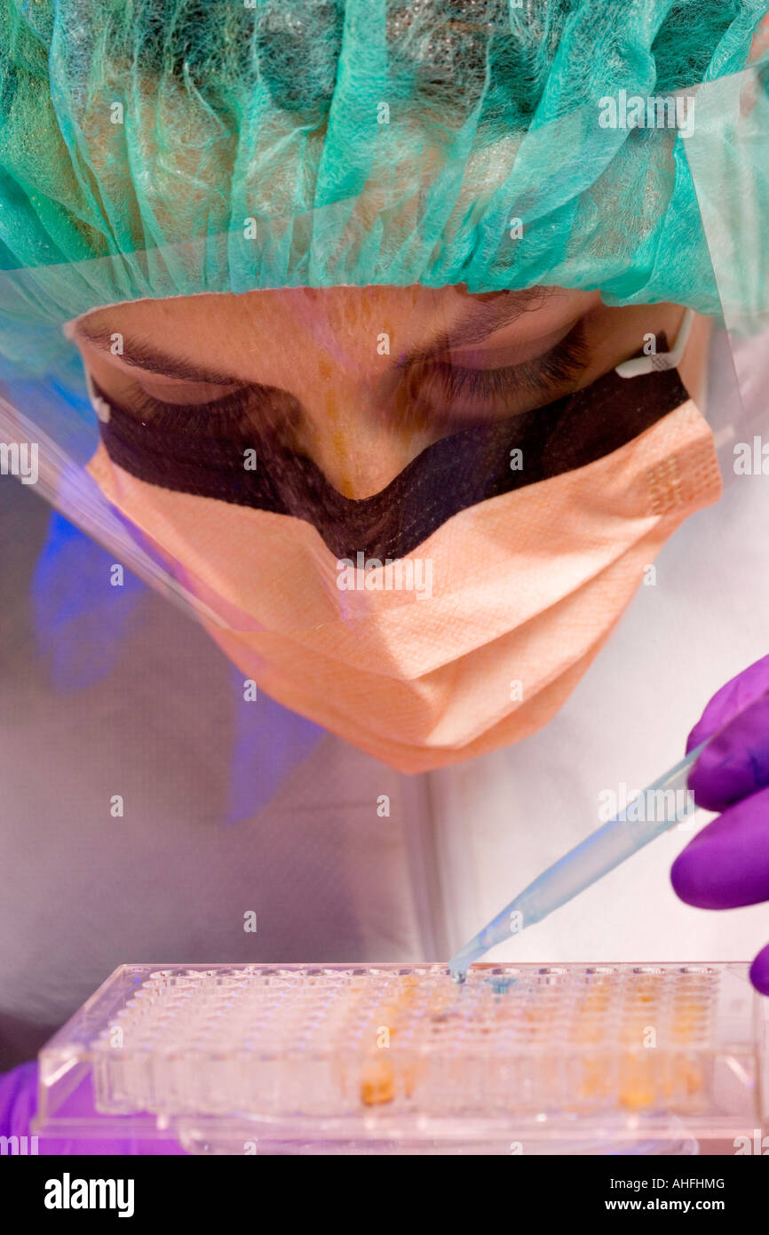 Close-up of female lab tech using pipette Stock Photo - Alamy