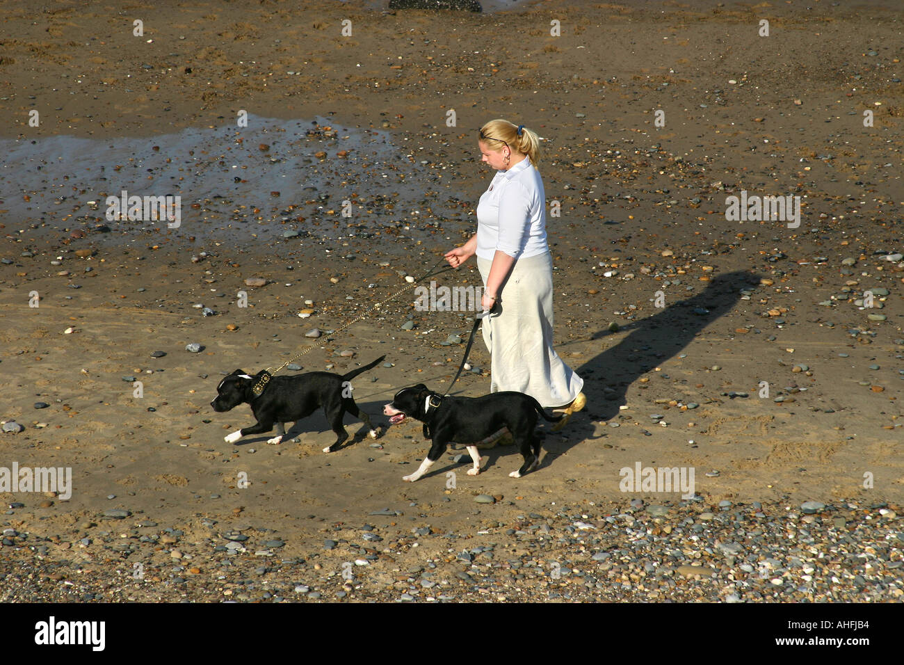 Female woman lady walking dogs hi-res stock photography and images - Alamy
