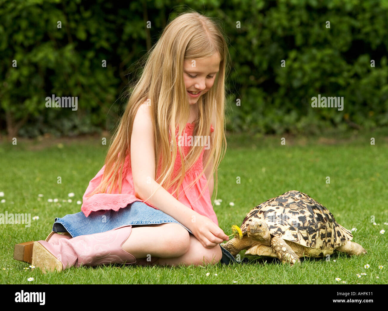 Girl sitting with Tortoise Stock Photo - Alamy