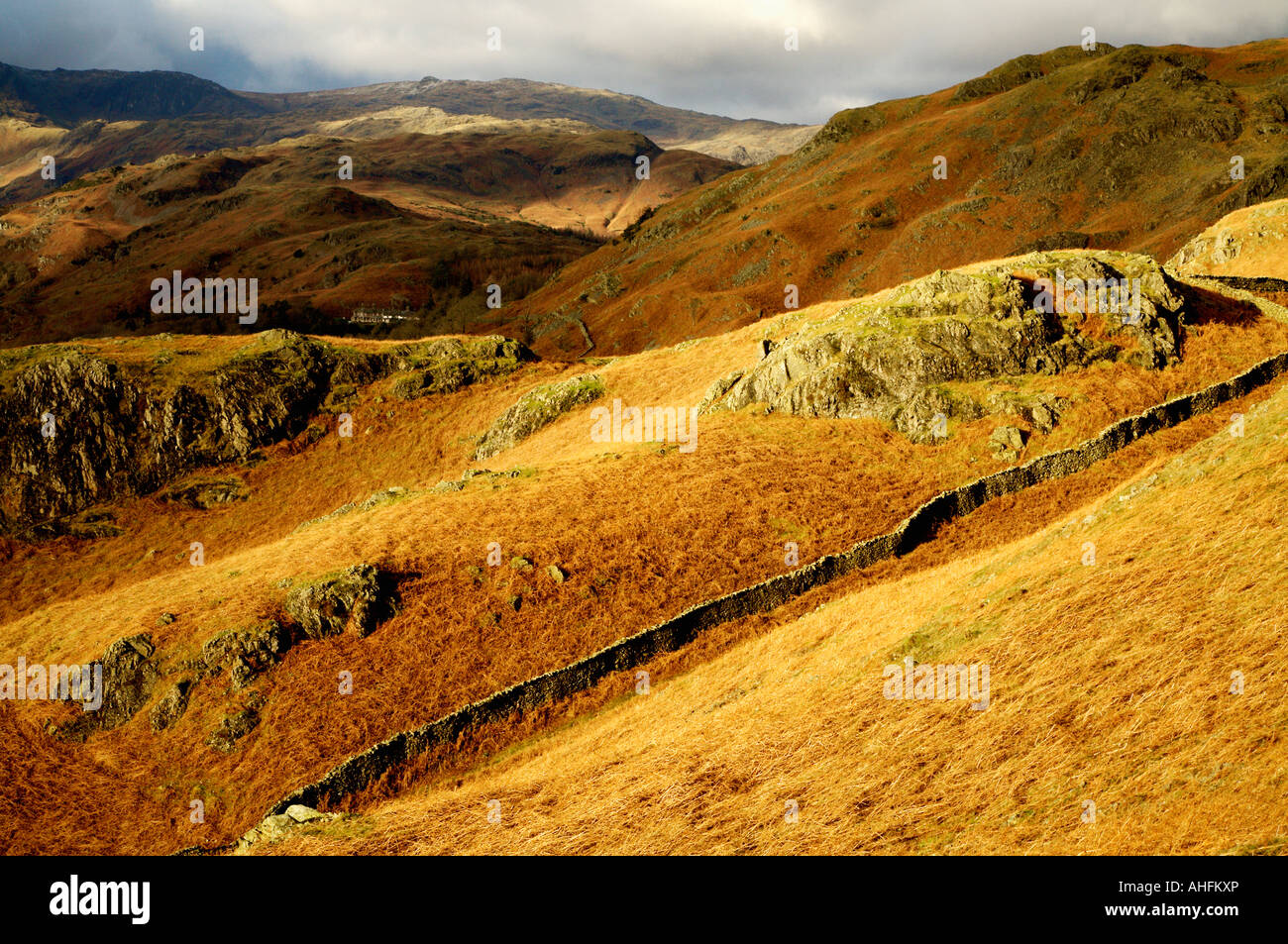 Craggy Scottish hillside covered with dried bracken with mountains in ...