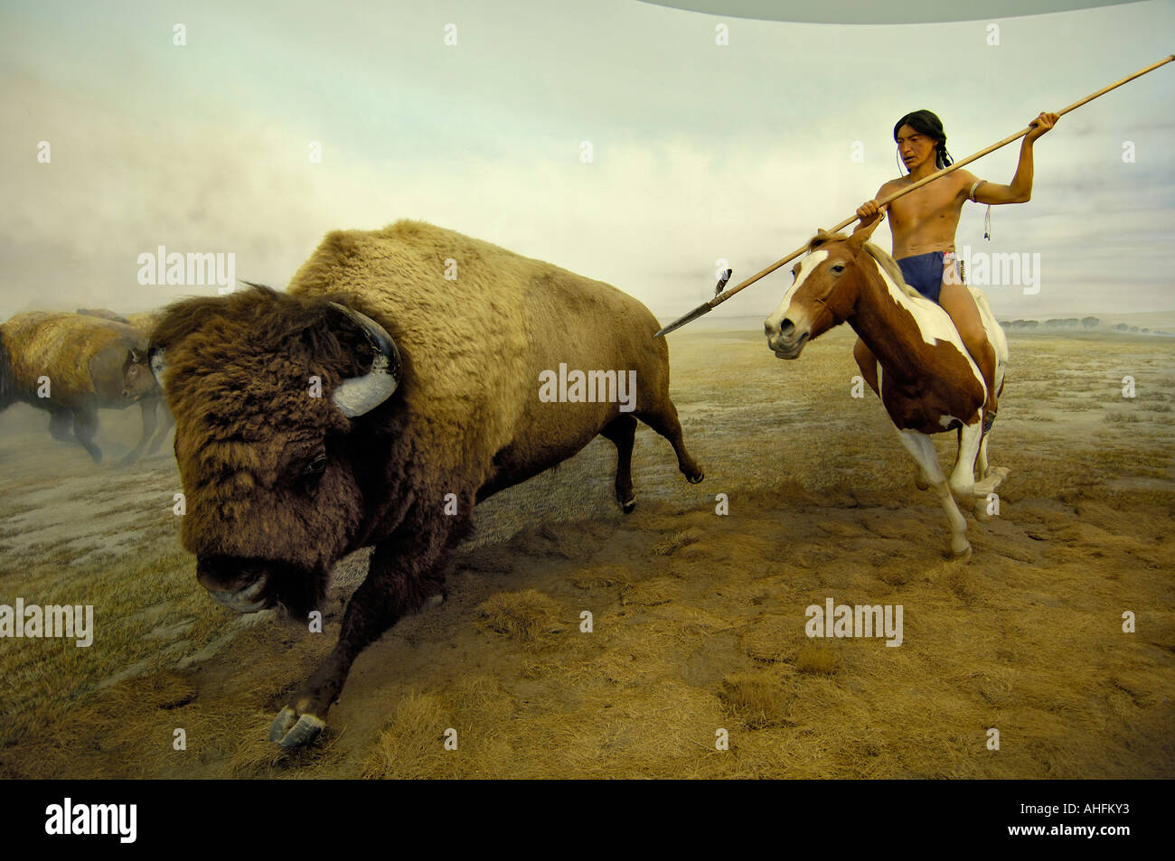 Hunting native American and Bison buffalo, Ueberseemuseum Bremen Stock ...