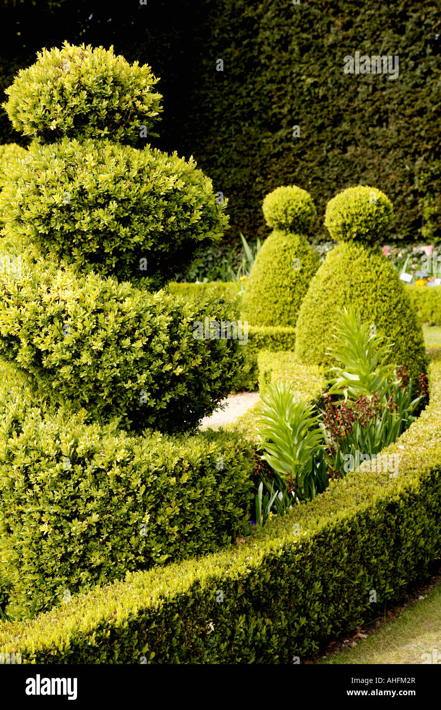 Topiary and clipped hedge in large country garden Stock Photo - Alamy