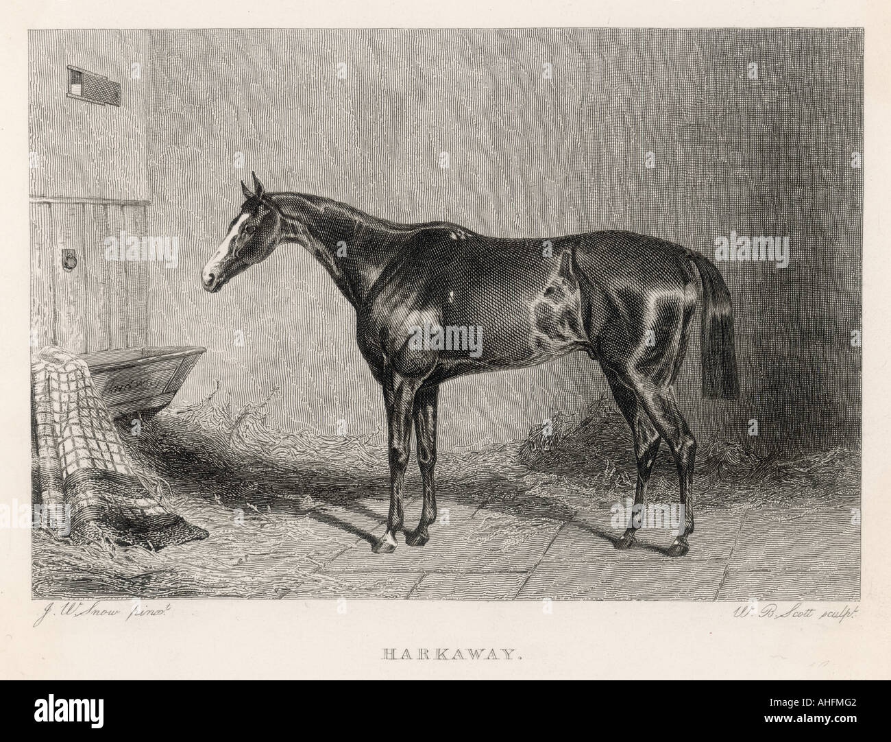 Harkaway hi-res stock photography and images - Alamy