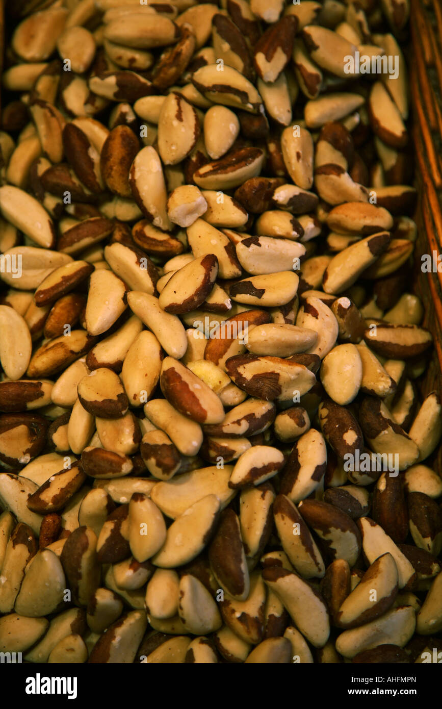 brazil nut nuts shelled protein healthy Stock Photo - Alamy