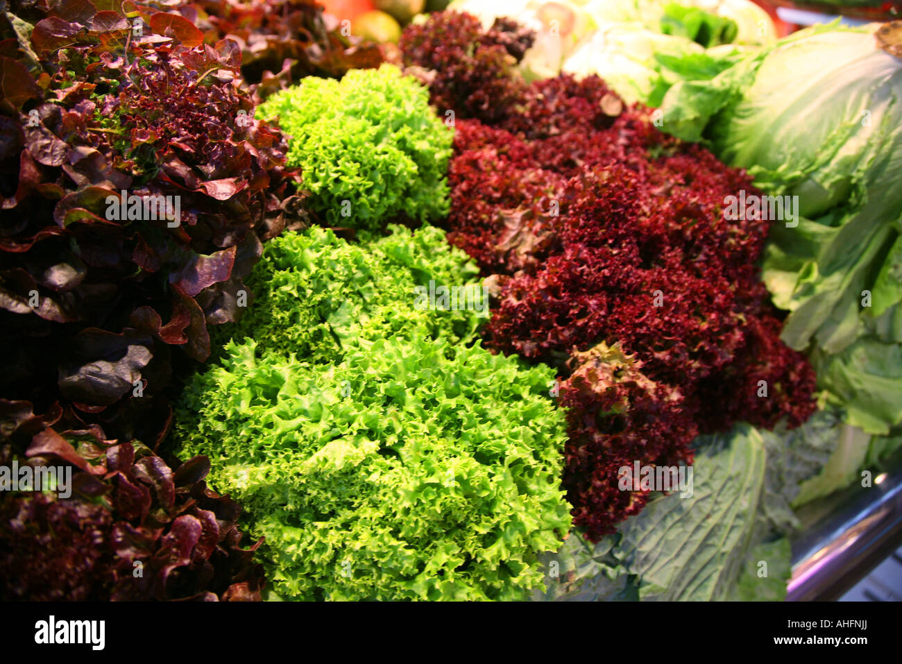 Cabbage, red, vegetable, cole, leafy, green, agriculture, growing ...