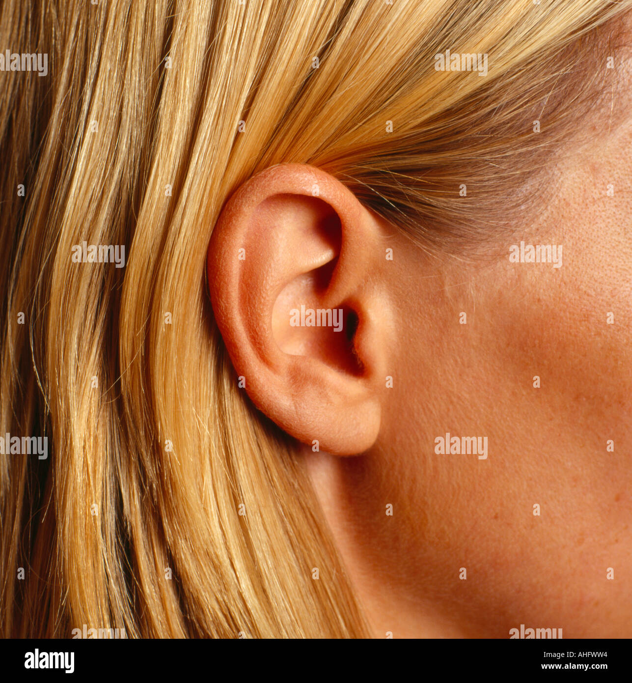 Ear form hi-res stock photography and images - Alamy