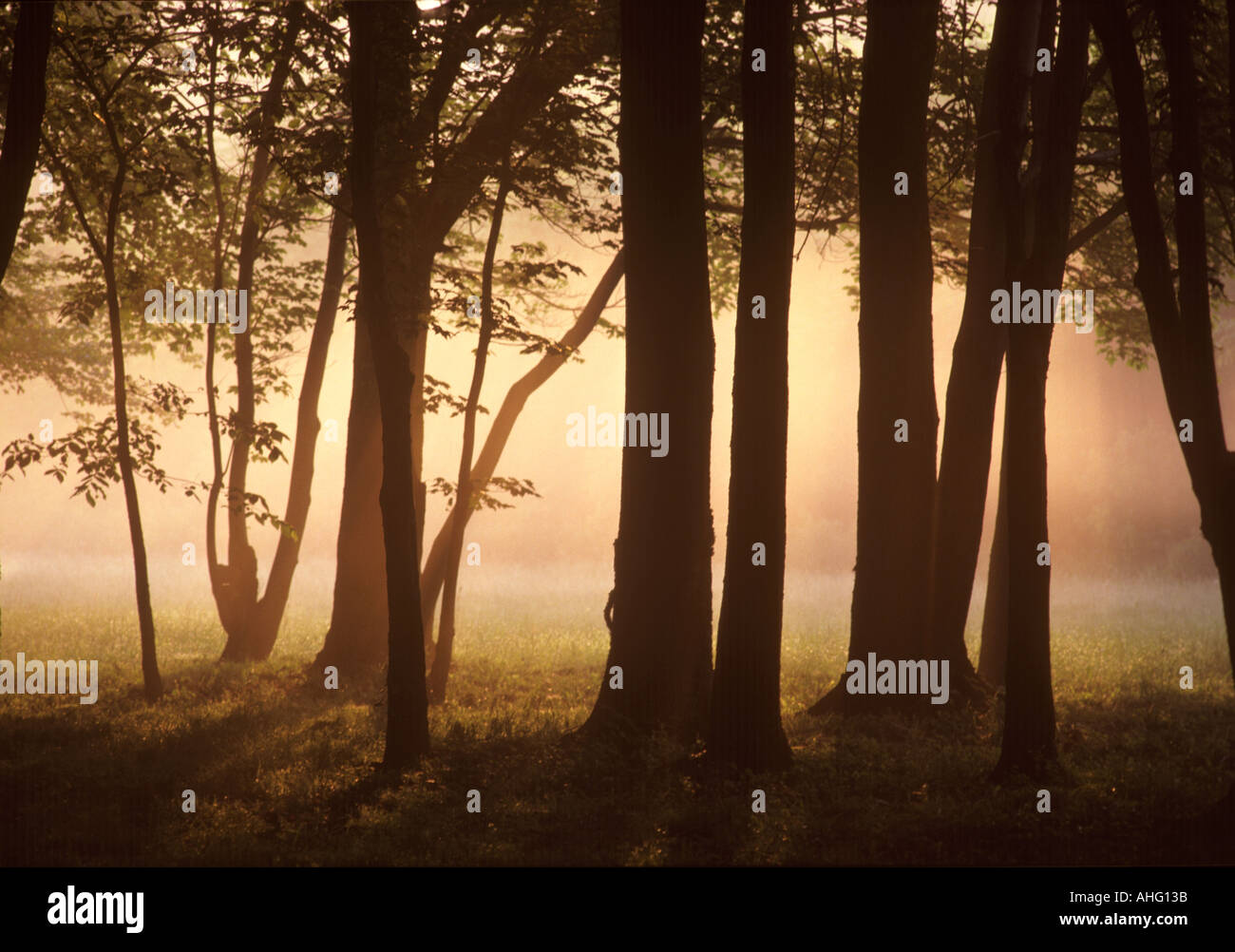 Mist sun set hi-res stock photography and images - Alamy