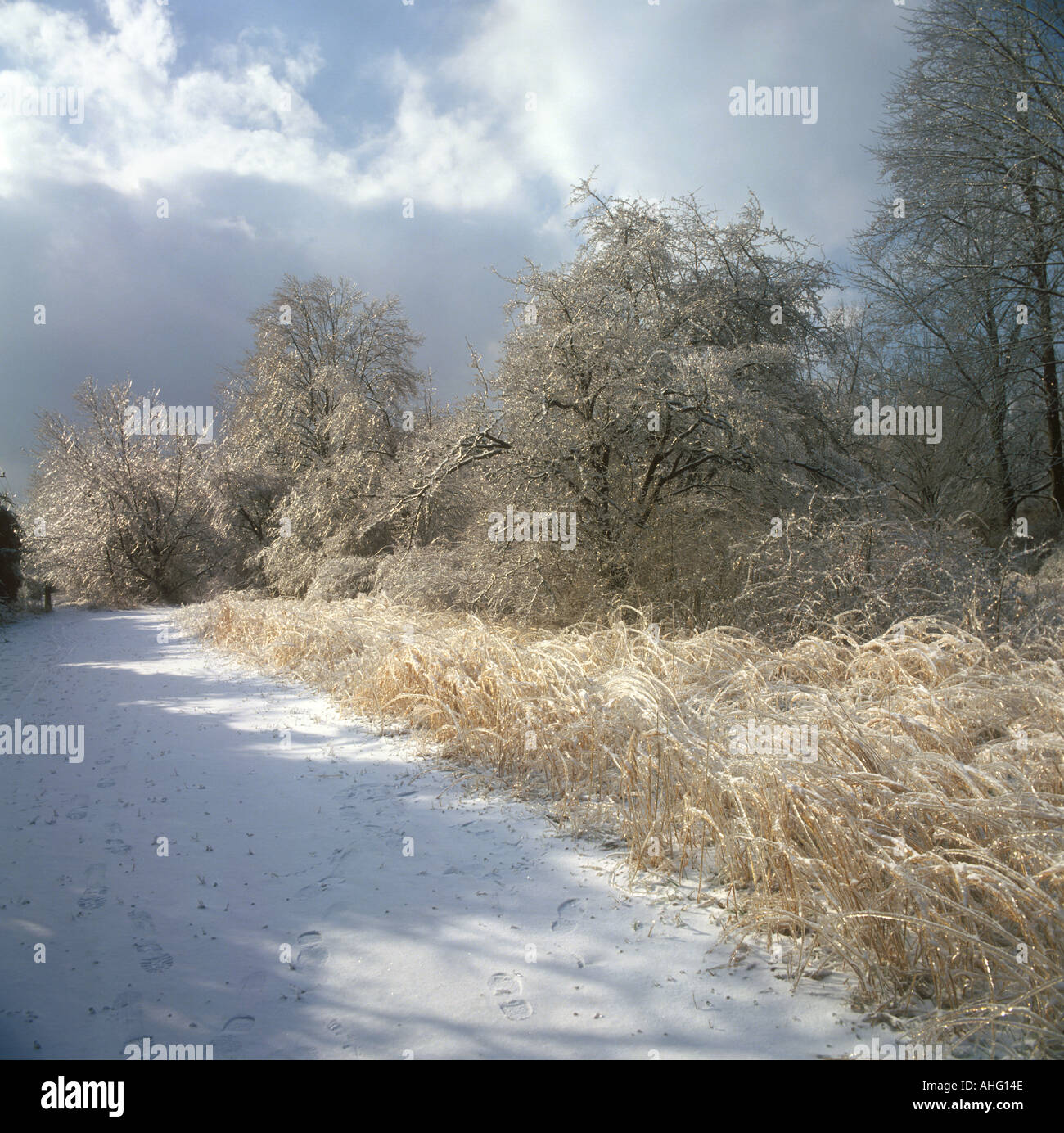 Sleety hi-res stock photography and images - Alamy