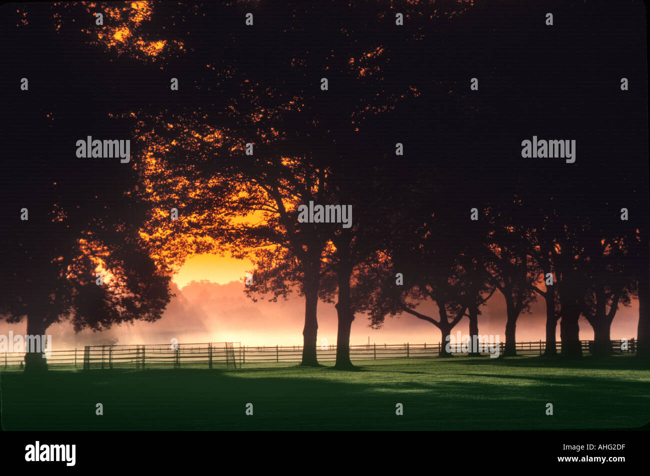 Misty Morning Light Stock Photo - Alamy