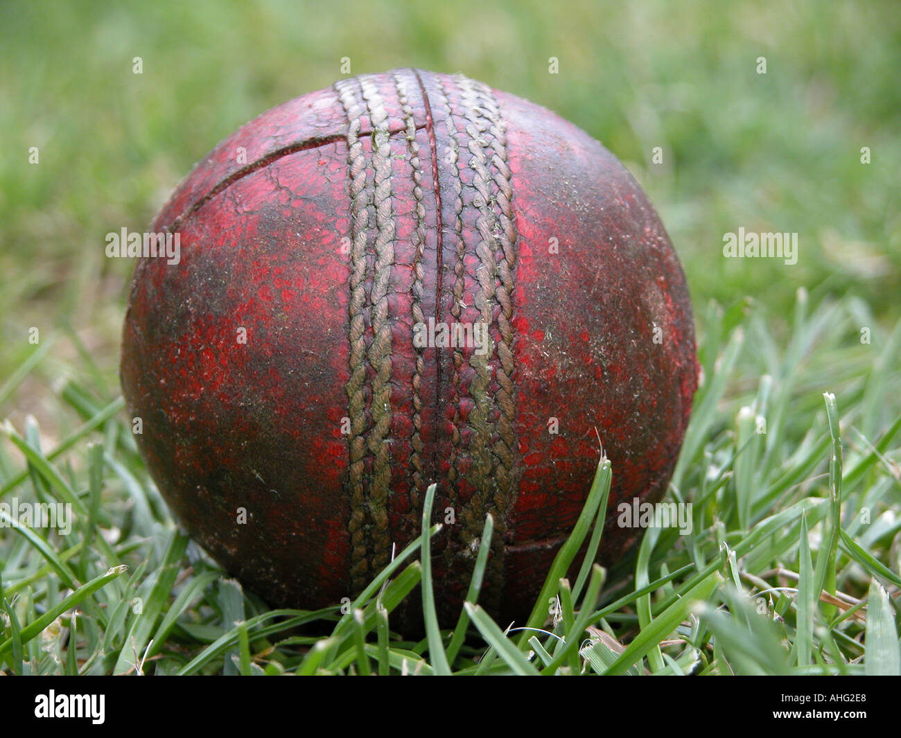 Cricket ball, well used Stock Photo - Alamy