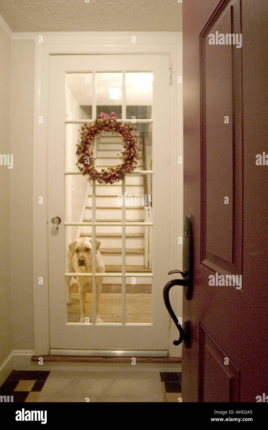 Waiting for master hi-res stock photography and images - Alamy